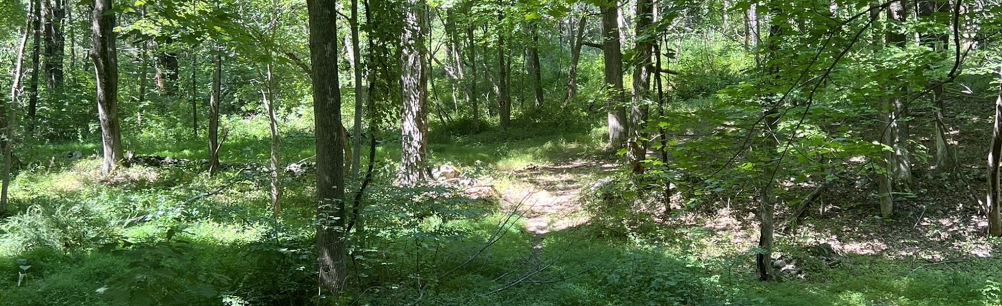 Lake Taghkanic Campground Loop: 40 foto's - New York | Wandelen - AllTrails