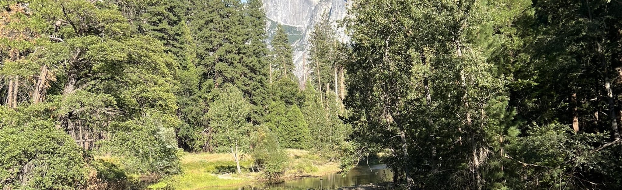 Yosemite Valley Loop Trail: 193 Reviews, Map - California | AllTrails