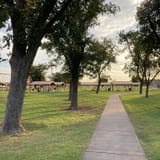 Winkler County Park Loop, Texas - 3 Reviews, Map | AllTrails