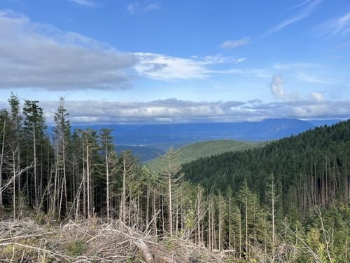 Best 10 Hikes and Trails in Tiger Mountain State Forest | AllTrails