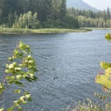 Rose Valley Lake Loop [CLOSED], British Columbia, Canada - 252 Reviews ...