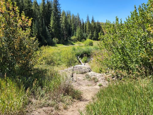 2023 Best Fishing Trails in Stagecoach State Park | AllTrails