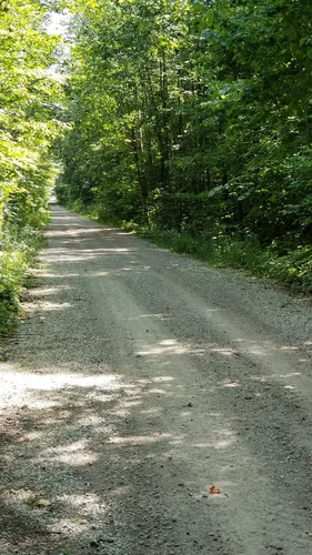Bruce County Rail Trail: de beste routes om te wandelen | AllTrails