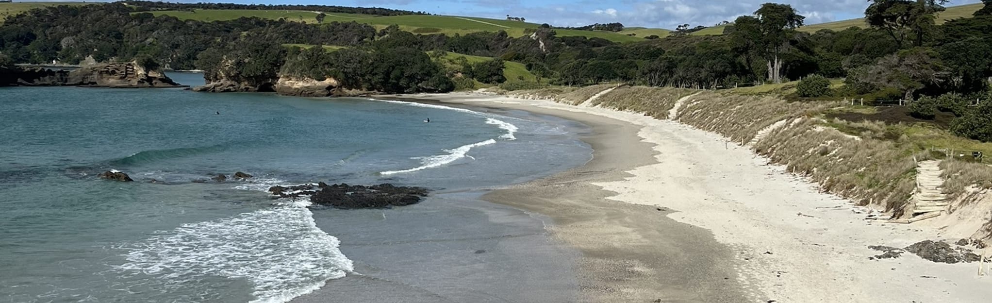 Tawharanui Beach Walk: 5 Reviews, Map - Auckland, New Zealand | AllTrails