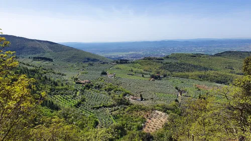 2023 Best Forest Trails in Calenzano | AllTrails