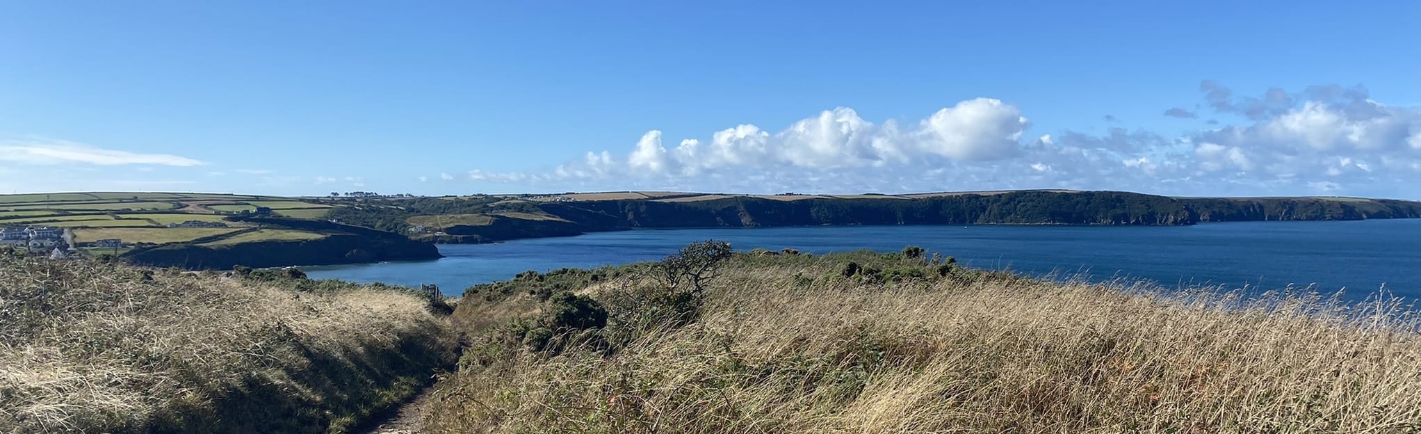 Pembrokeshire Coast Path: Broad Haven to Solva: 15 Reviews, Map ...