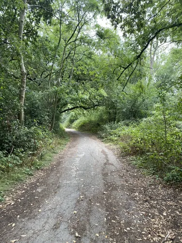 Best Hikes and Trails in Victoria Recreation Ground | AllTrails