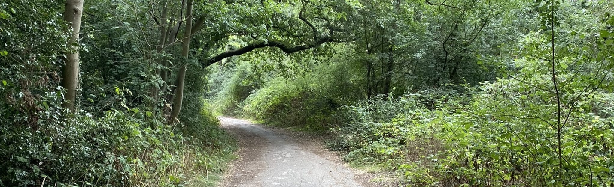 New Barnet and Hadley Wood Circular - London, England | AllTrails