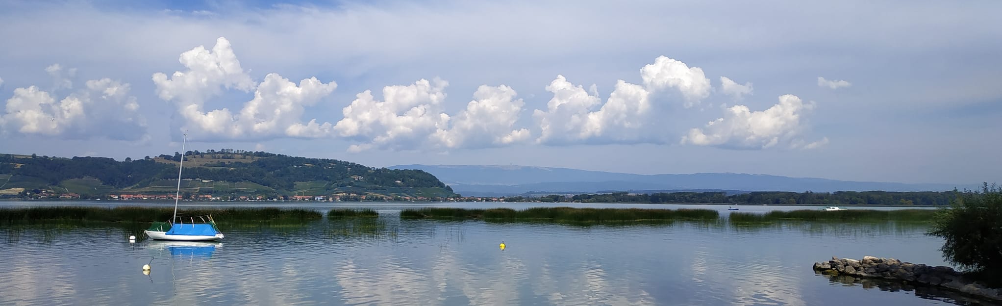 Murten/ Morat Circular, Fribourg, Switzerland - Map, Guide | AllTrails