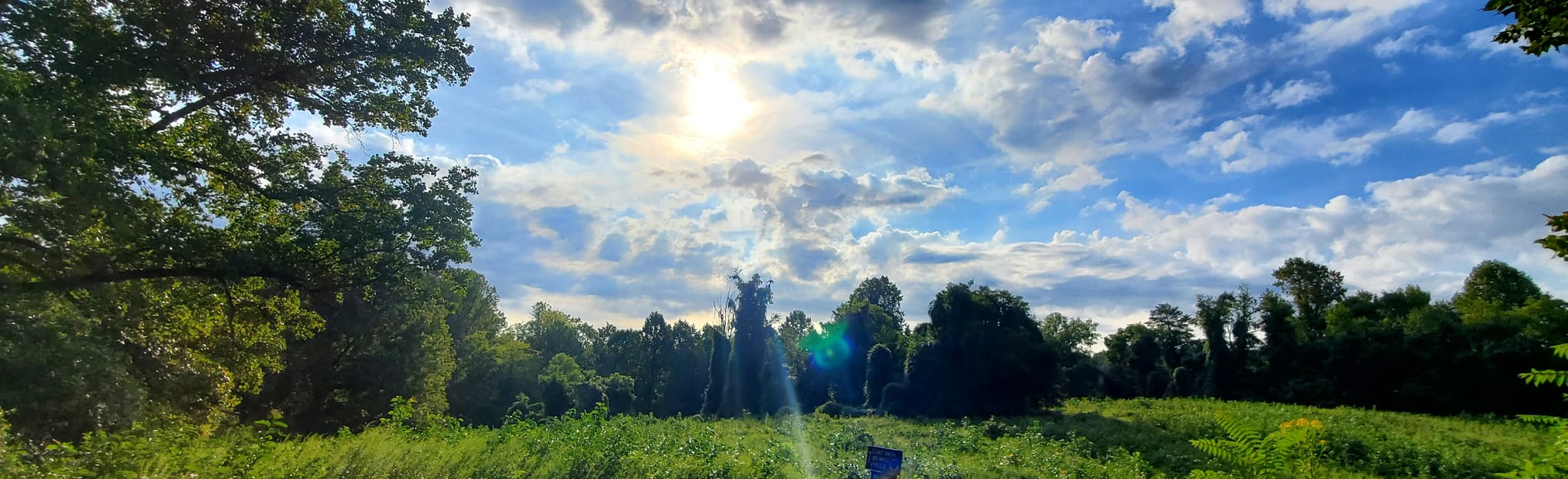 AllTrails | Meadow and Willow Grove Trail Loop: 80 Reviews, Map - Maryland