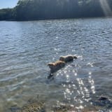 Spirit Pond Preserve, Maine - 130 Reviews, Map | AllTrails