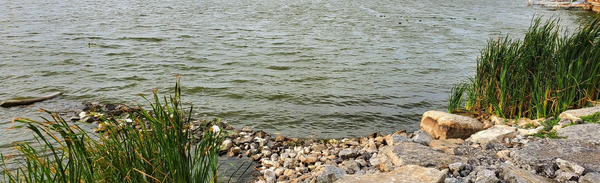 Cranberry Pond, New York - 17 Reviews, Map | AllTrails