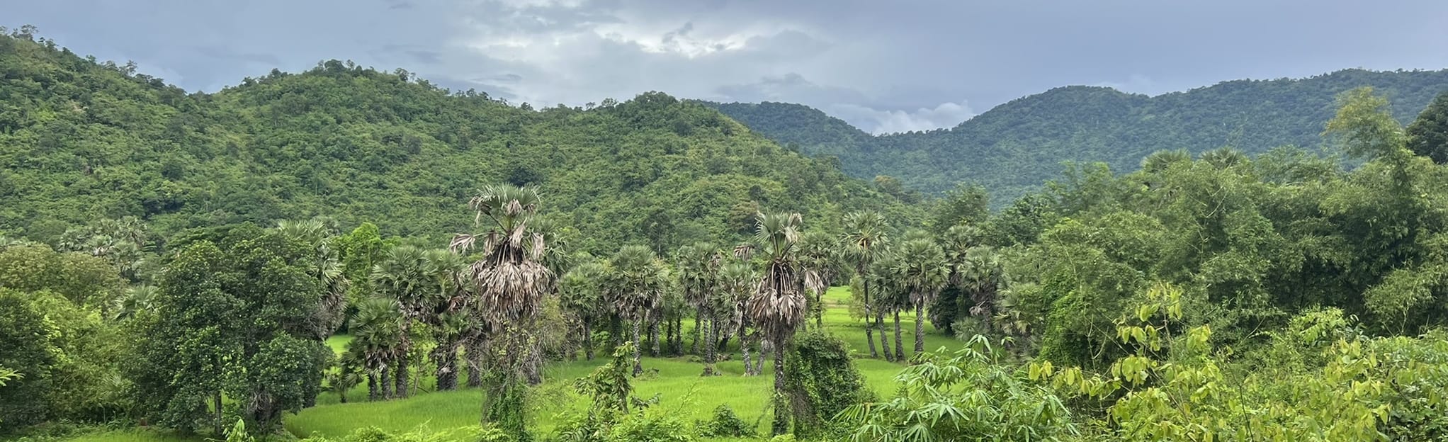 Phnom Aural Peak, Kâmpóng Spœ, Cambodia - 4 Reviews, Map | AllTrails