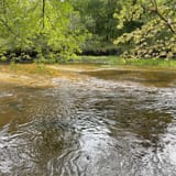 Winding River Park Trail, New Jersey - 452 Reviews, Map | AllTrails