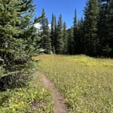 Turquoise Lakes Trail, Colorado - 287 Reviews, Map | AllTrails