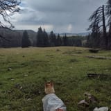 Canjilon Lakes and Canijilon Mountain Loop, New Mexico - 40 Reviews ...