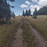 Canjilon Lakes and Canijilon Mountain Loop, New Mexico - 40 Reviews ...