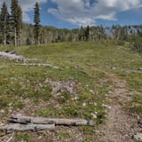 Canjilon Lakes and Canijilon Mountain Loop, New Mexico - 31 Reviews ...