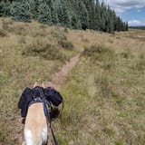 Canjilon Lakes and Canijilon Mountain Loop, New Mexico - 31 Reviews ...