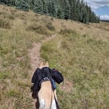 Canjilon Lakes and Canijilon Mountain Loop, New Mexico - 31 Reviews ...