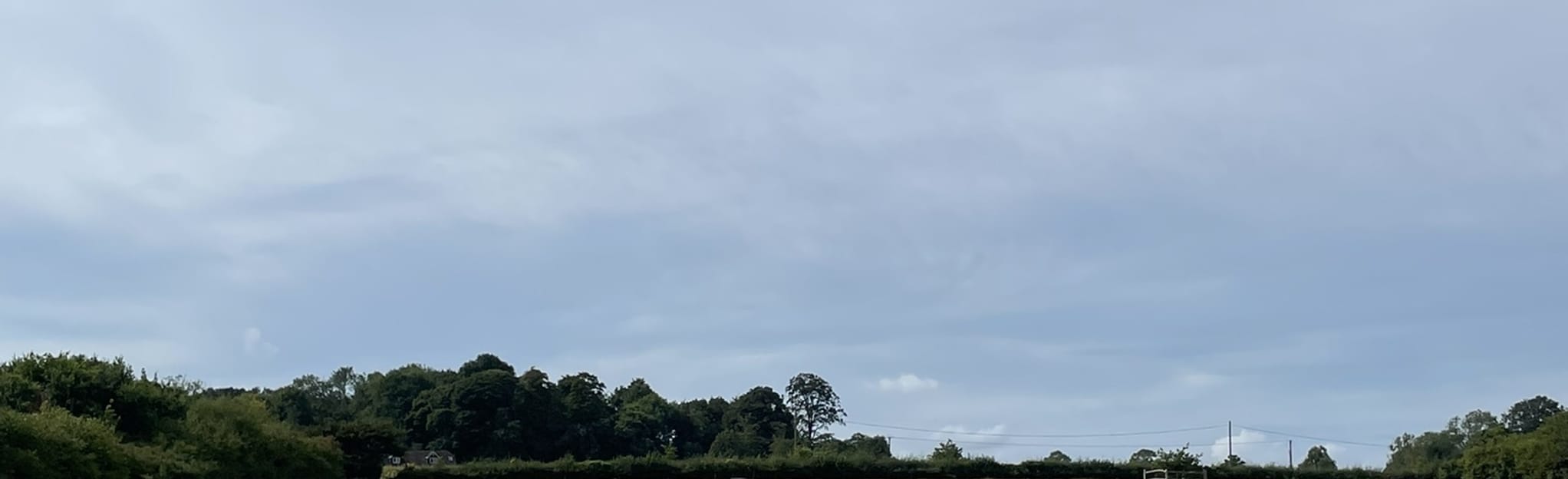 Hucking Estate Blue Route: 9 Reviews, Map - Kent, England | AllTrails