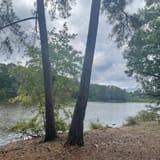 Heath Lake Loop, Georgia - 413 Reviews, Map | AllTrails