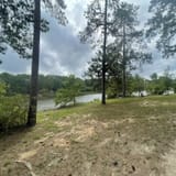 Heath Lake Loop, Georgia - 413 Reviews, Map | AllTrails