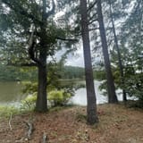 Heath Lake Loop, Georgia - 413 Reviews, Map | AllTrails