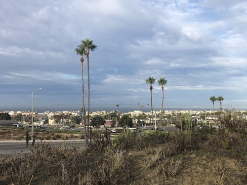 Best Hikes and Trails in Sunset Ridge Park | AllTrails