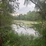 Sheldon Lake State Park Nature Loop, Texas - 206 Reviews, Map | AllTrails