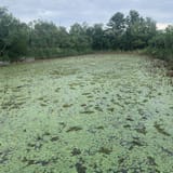 Sheldon Lake State Park Nature Loop, Texas - 206 Reviews, Map | AllTrails