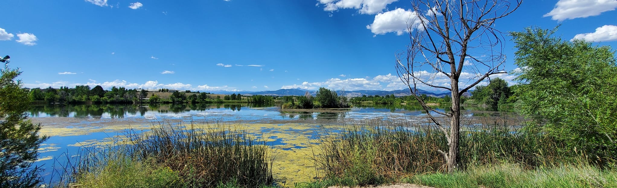 Thompson Valley Loop Trail: 147 foto - Colorado | AllTrails