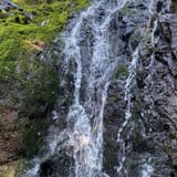 PJ Lake Trail, Washington - 155 Reviews, Map | AllTrails