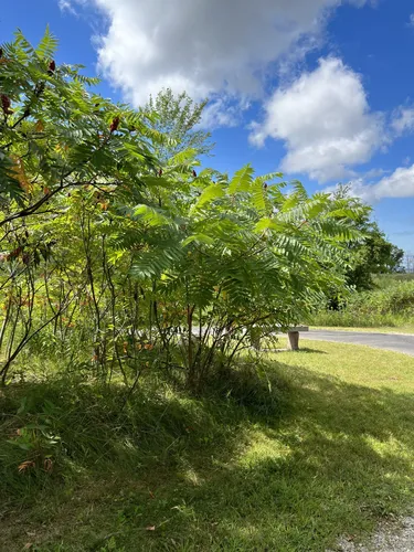 Best Hikes and Trails in High Cliff State Park | AllTrails