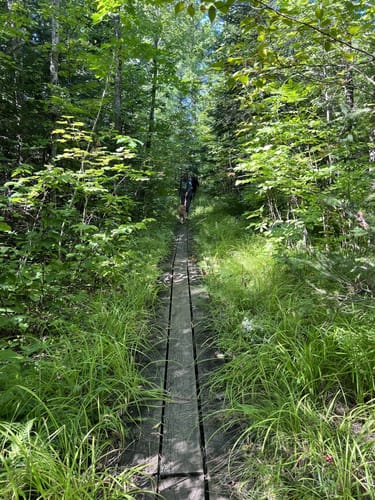 Best Hikes and Trails in Brule River State Forest | AllTrails