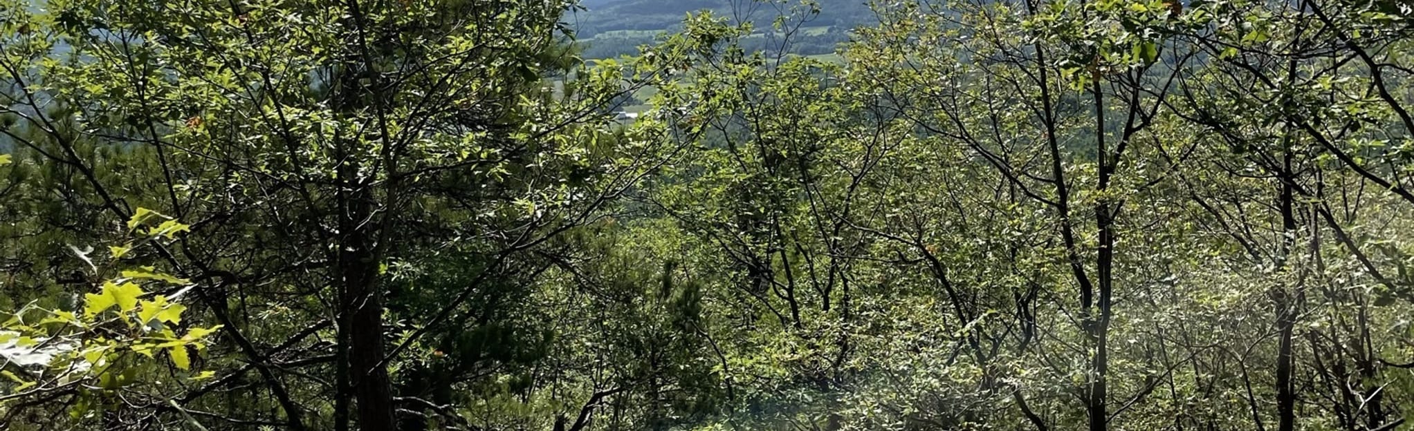 Coon Mountain Trail to Hidden Valley Trail, New York - 81 Reviews, Map ...