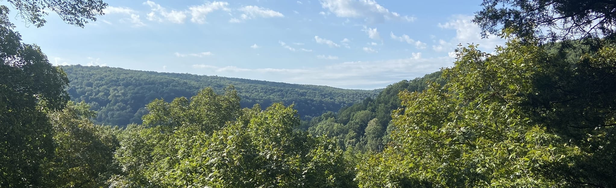 Whitaker Point Trail (Hawksbill Crag), Arkansas - 3,540 Reviews, Map ...