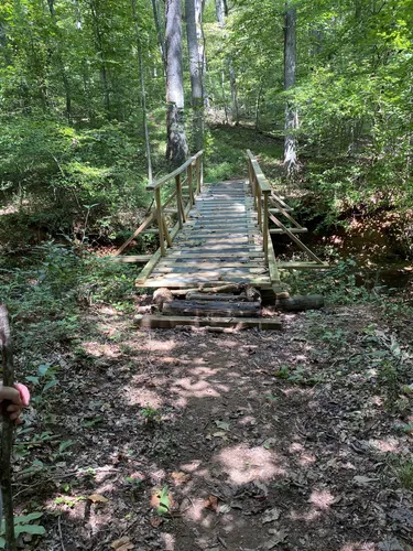 2023 Best Wild Flowers Trails in Sweet Briar | AllTrails