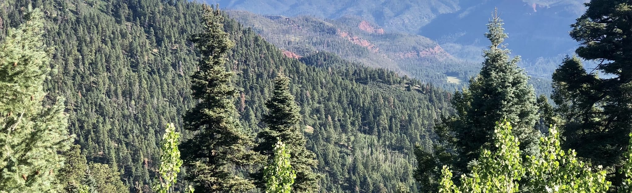 Animas Overlook Trail, Colorado - 107 Reviews, Map | AllTrails