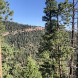Animas Overlook Trail, Colorado - 133 Reviews, Map | AllTrails