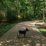 Spring Creek Nature Area Trail, Texas - 1,155 Reviews, Map | AllTrails