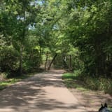 Spring Creek Nature Area Trail, Texas - 1,155 Reviews, Map | AllTrails