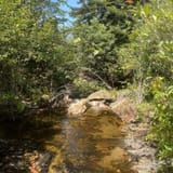 Sam's Knob and Little Sam Loop , North Carolina - 394 Reviews, Map ...