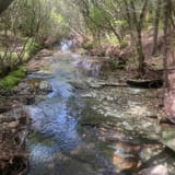 Sam's Knob and Little Sam Loop , North Carolina - 394 Reviews, Map ...