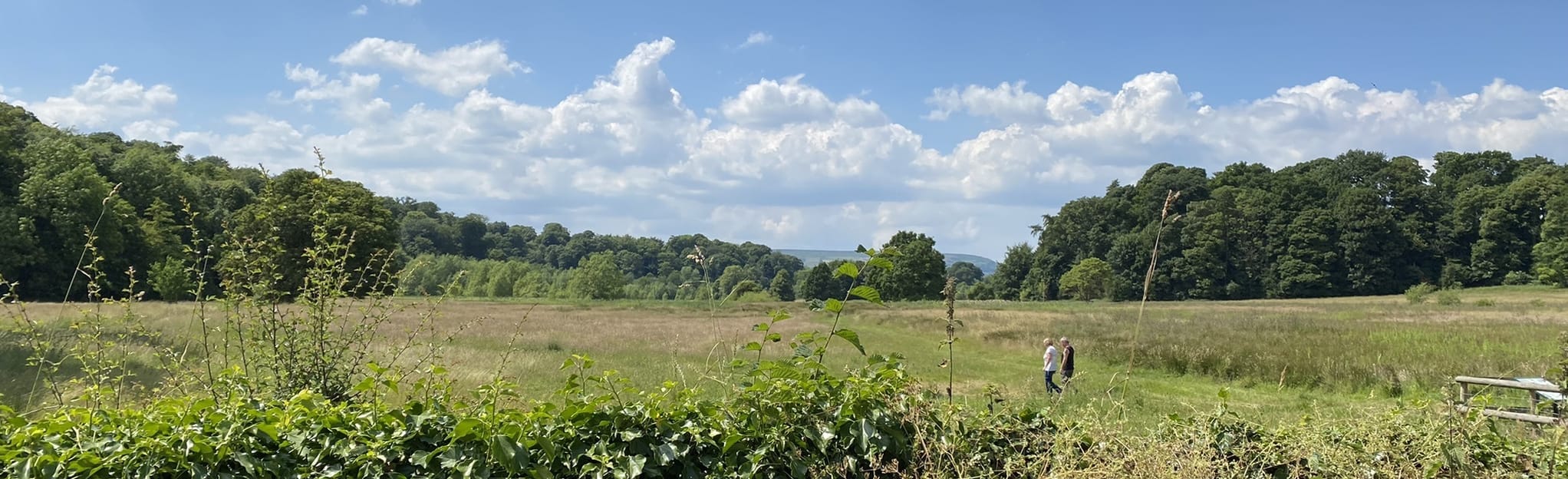 Erddig to King's MiIl Circular, Wrexham, Wales - 8 Reviews, Map | AllTrails