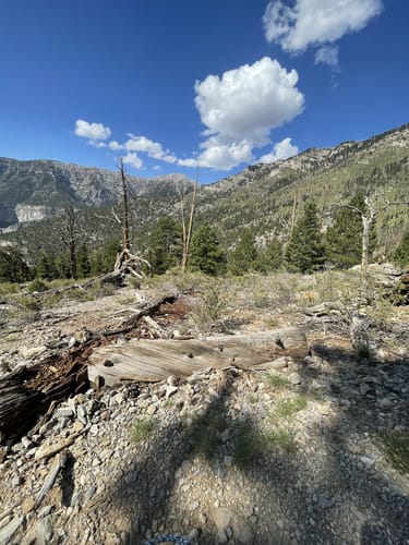 2023 Best 10 Long Trails in Mount Charleston Wilderness | AllTrails