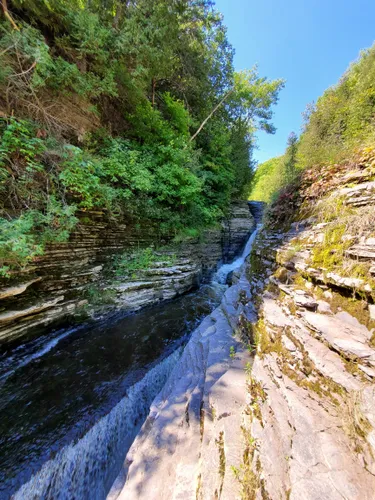 Best Hikes and Trails in Lowville | AllTrails Best Hikes and Trails in Lowville | AllTrails