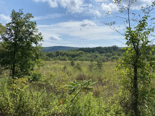 10 Best Trails and Hikes in Pine Grove | AllTrails