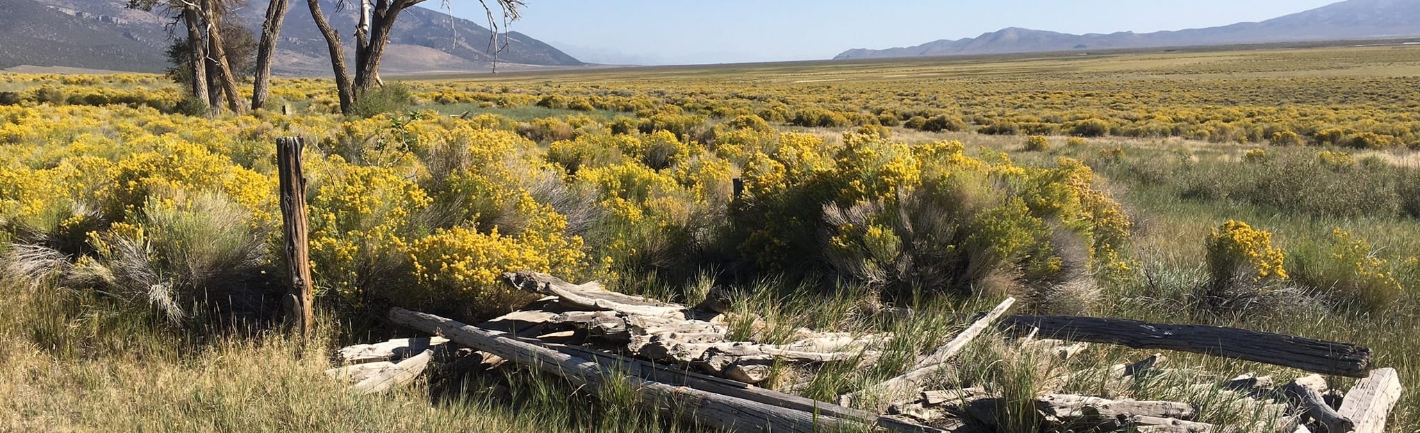 Fort Ruby Interpretive Trail, Nevada - 2 Reviews, Map | AllTrails