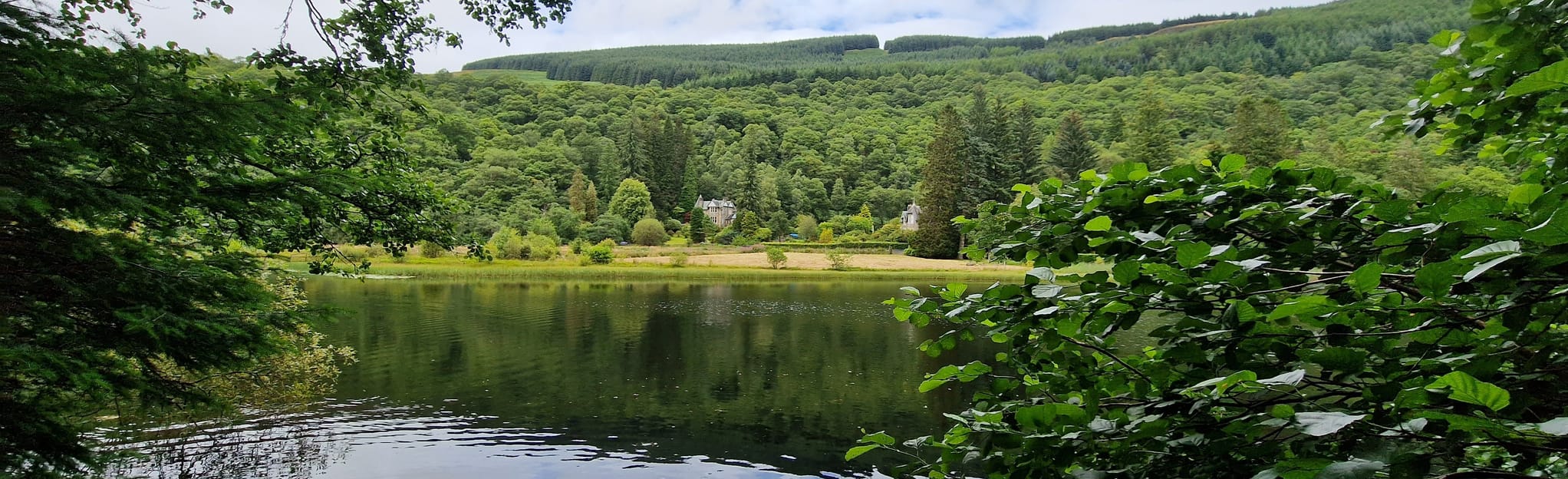 Loch Ard Lower Loop: 70 foto - Stirling, Scozia | AllTrails